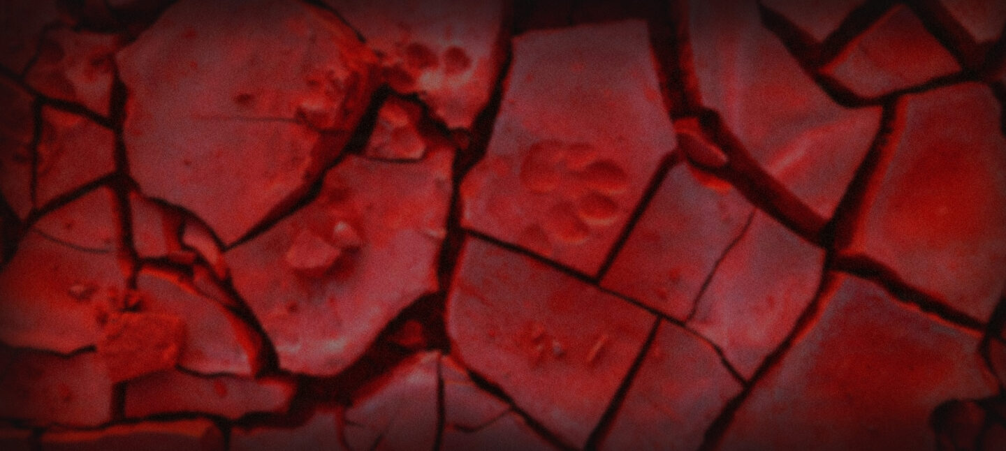 Outlast – Solinco®